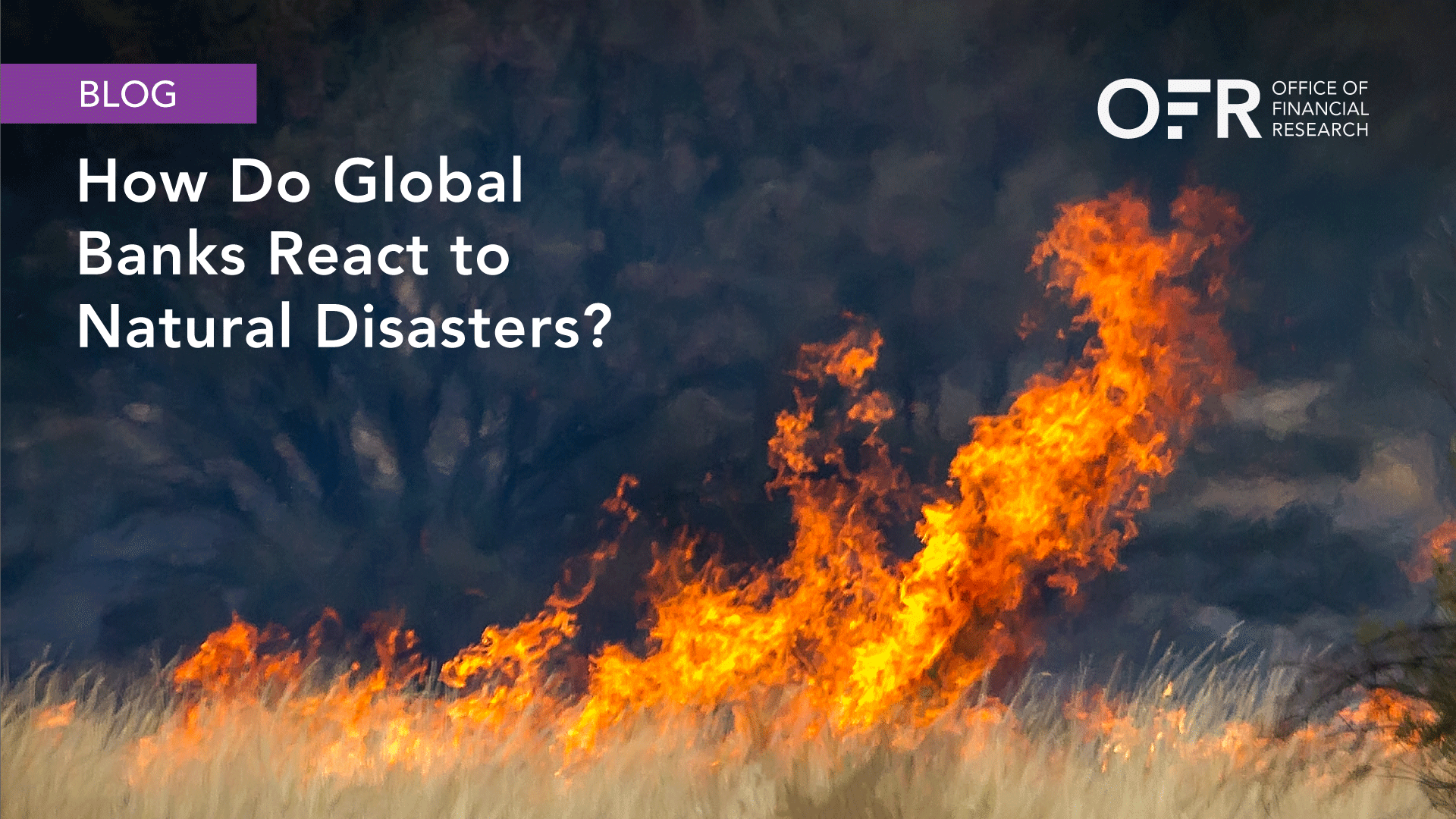 How Do Global Banks React to Natural Disasters? | Office of Financial ...